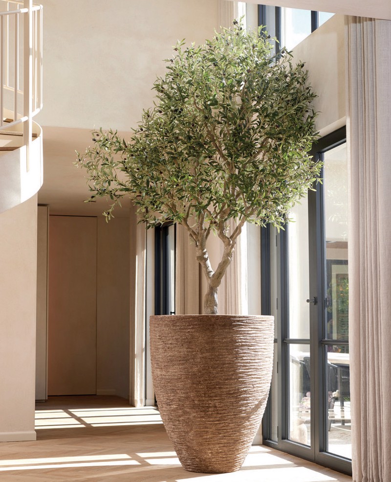 Arbusti Ornamentali Artificiali - Pomi Ornamentali | LeafShop