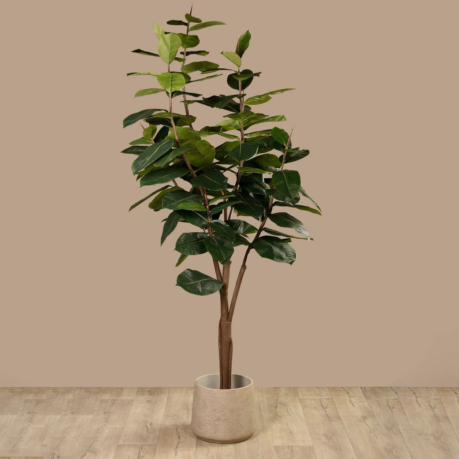 Ficus artificial elastica in ghiveci negru din plastic - 210 cm | Leaf Shop