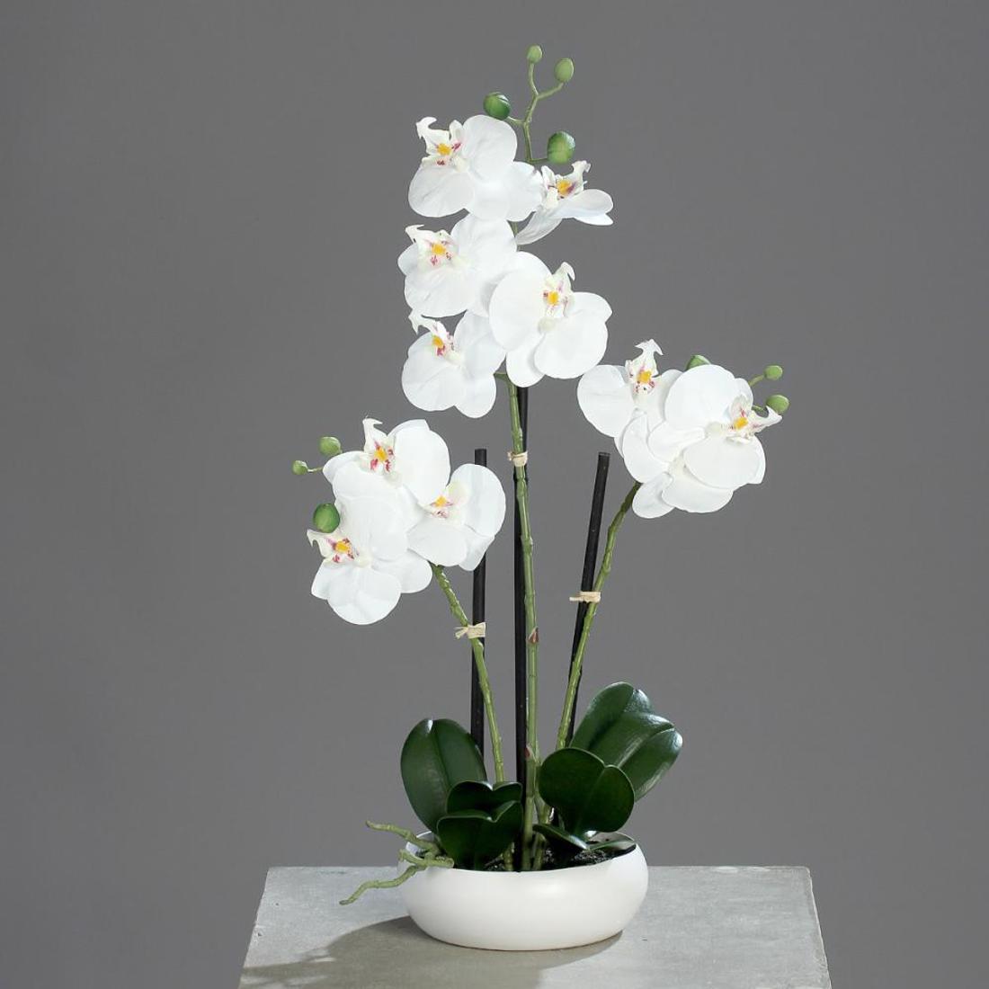 Flori artificiale - Orhidee artificiala alba in ghiveci ceramic - 36 cm ...